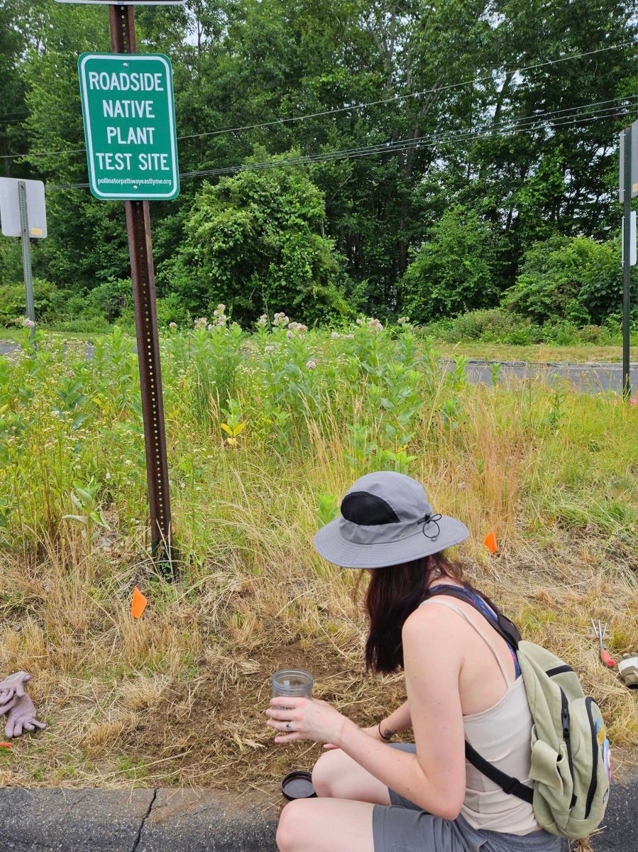 The PPEL Team has a Summer Intern – Pollinator Pathway East Lyme